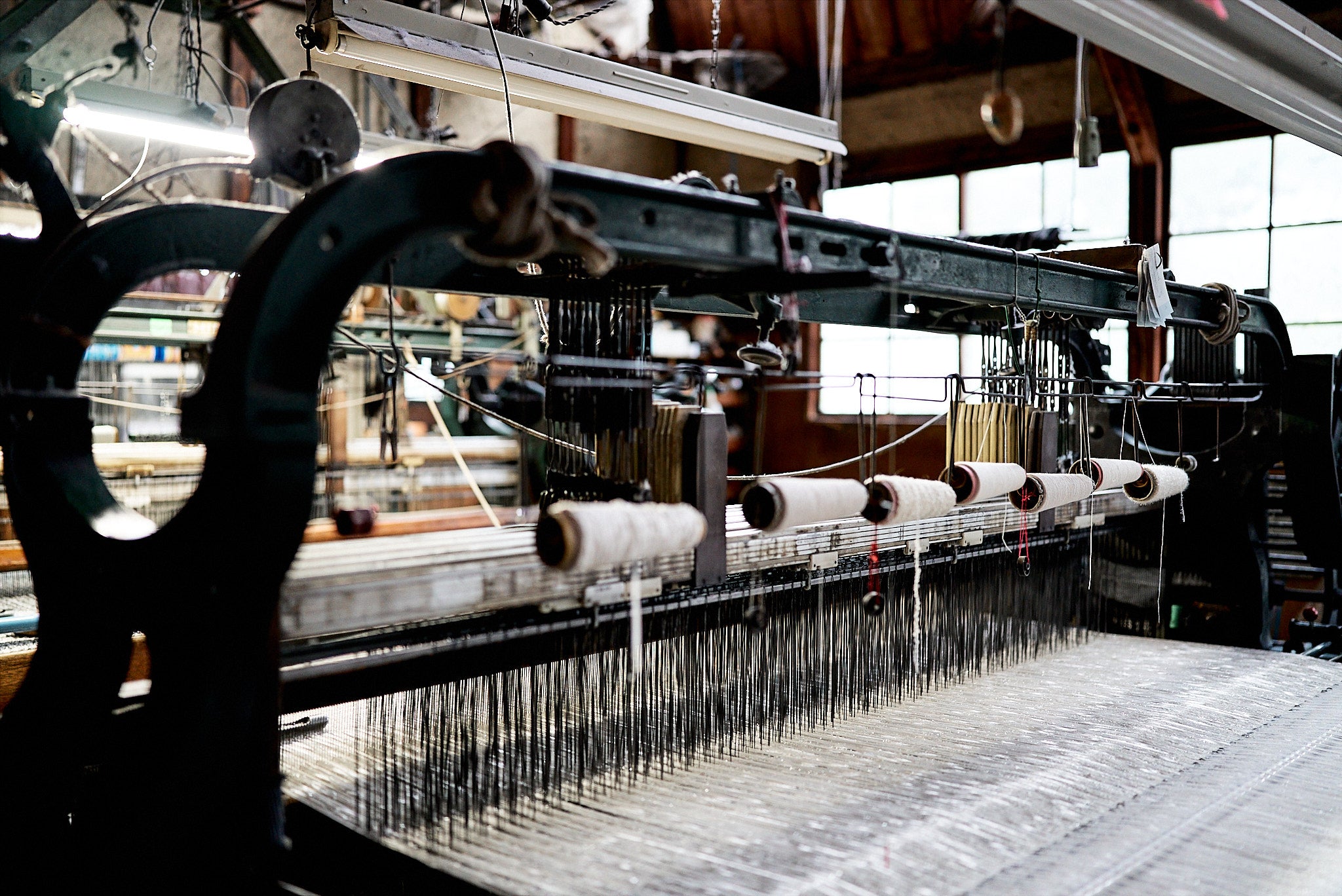 Schonherr Products – WASEW GLOBAL ONLINE STORE